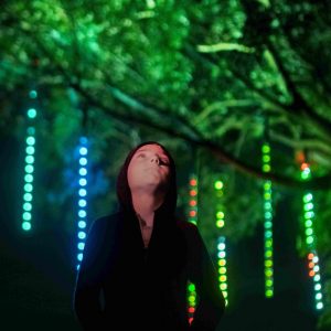 Gallery – Land of Light