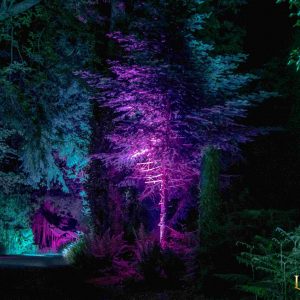 Gallery – Land of Light